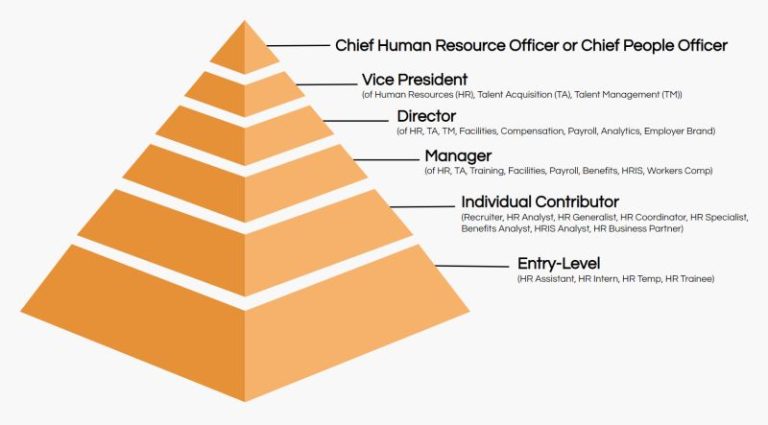 Hierarchy of Human Resources Job Titles | Human Resource Management